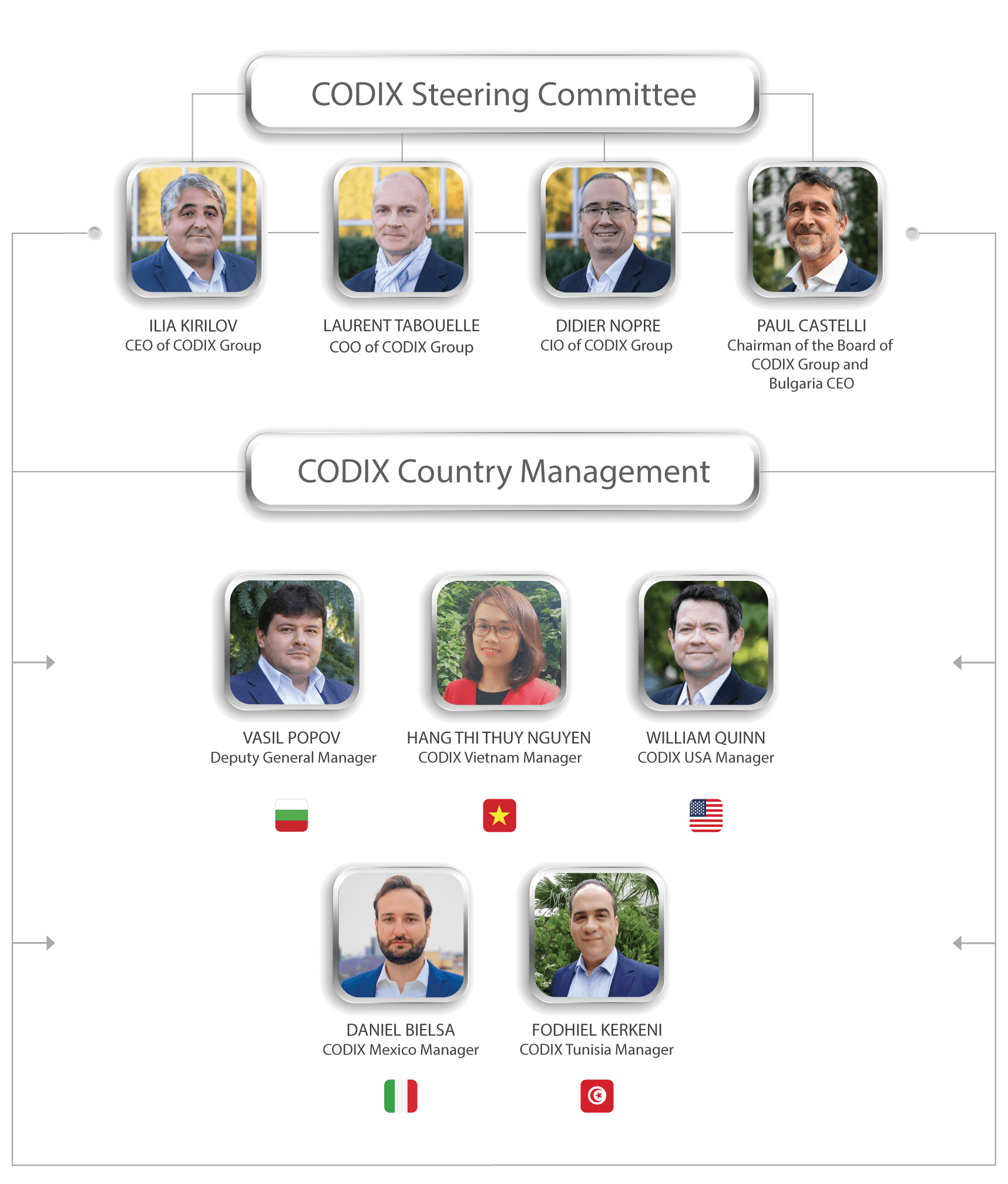 Company structure | CODIX Organizational Structure